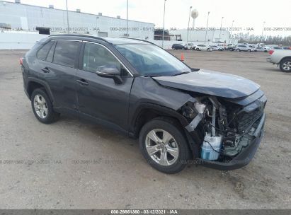 Online Car Auctions - IAA