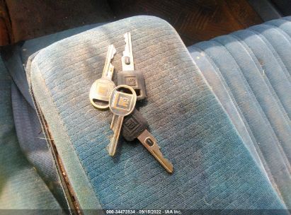 Three On The Tree Shift Pattern