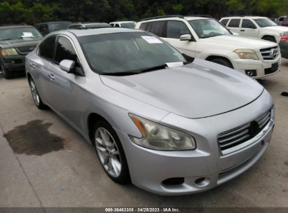 2013 NISSAN MAXIMA 3.5 SV for Auction - IAA