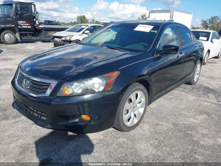 2010 HONDA ACCORD | SEDAN