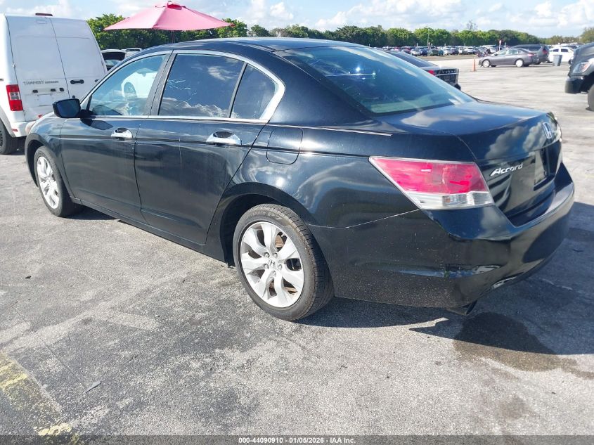 2010 HONDA ACCORD | SEDAN