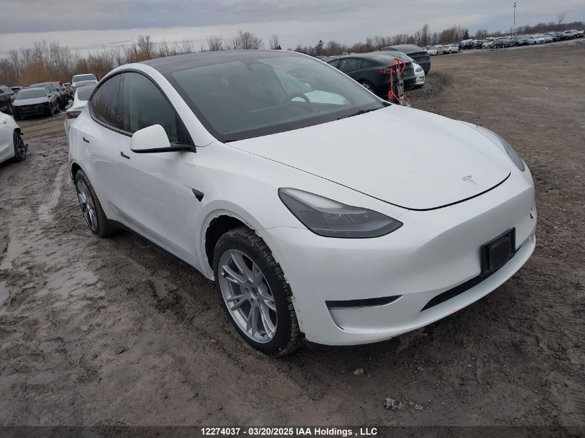 2023 TESLA MODEL Y RWD | LRWYGDFD5PC164009